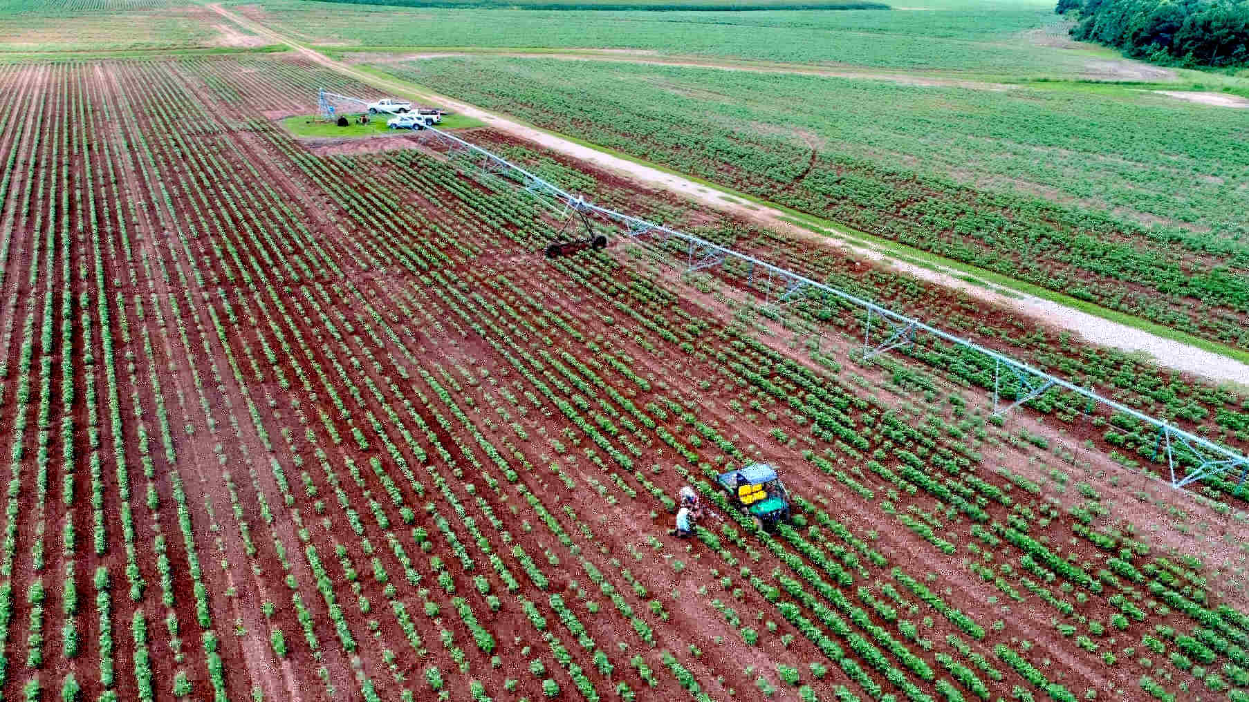 Trellis Distributor Portal